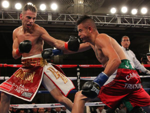 BILLEL DIB CONTINUES HIS QUEST FOR A WORLD CHAMPIONSHIP – DiBella ...